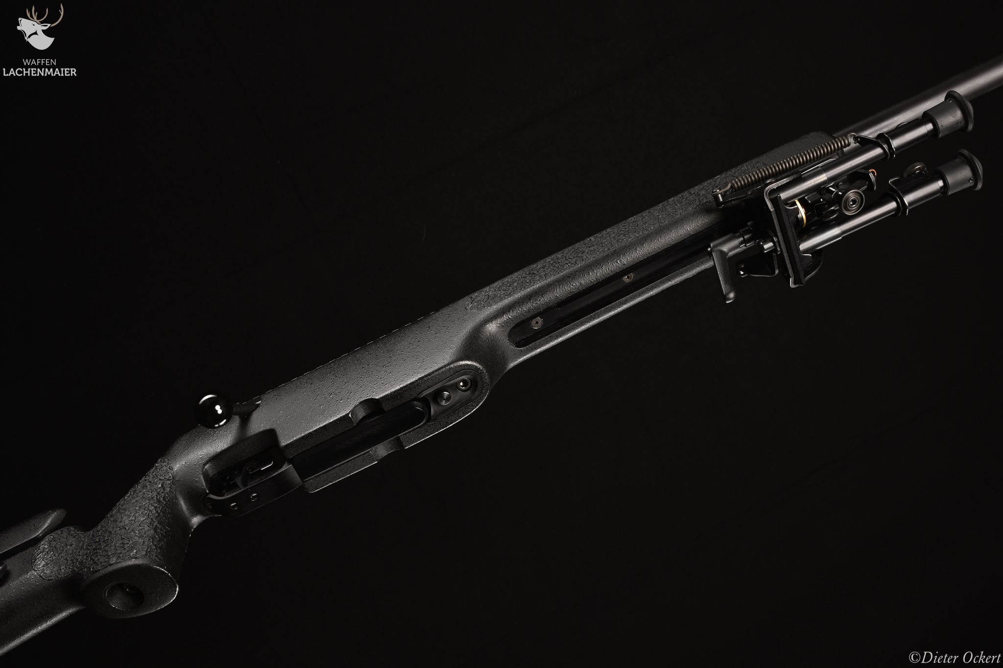 SIG Sauer SSG 3000 Target Fertigung Eckernfoerde Kaliber .308Win - eGun