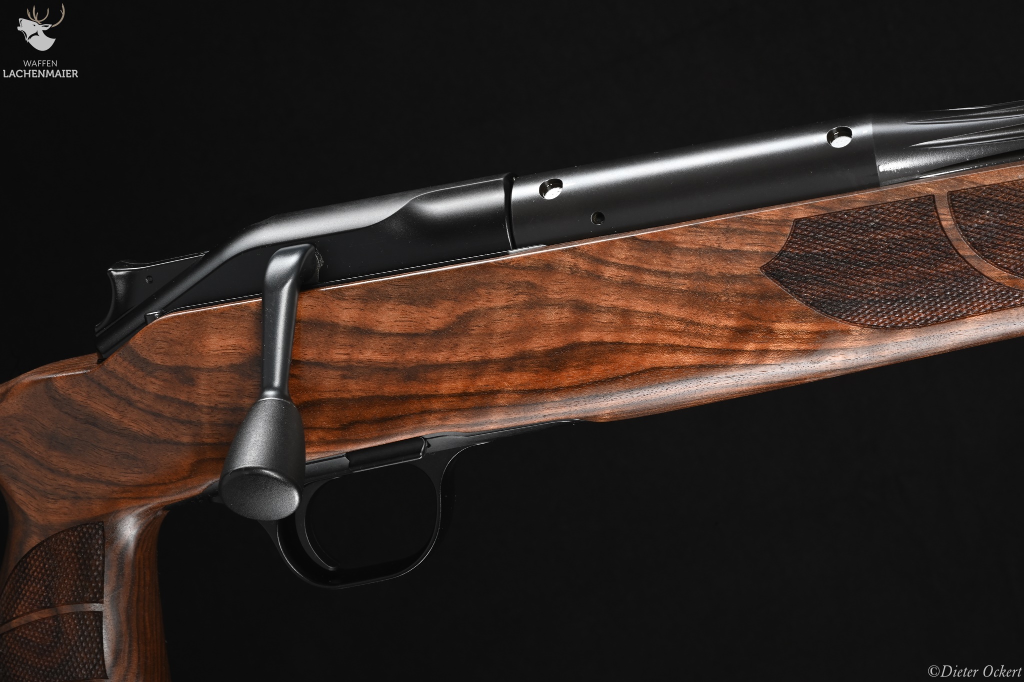 Blaser R8 Success Custom Kaliber .308Win Matchlauf & Atzl Abzug - eGun