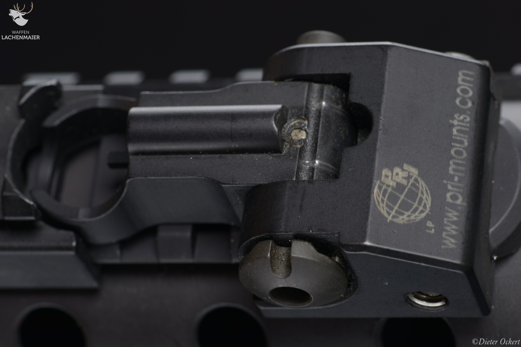 Oberland Arms OA-15 Custom SPR MK-12 Kaliber .223Rem & Acheron SD - eGun